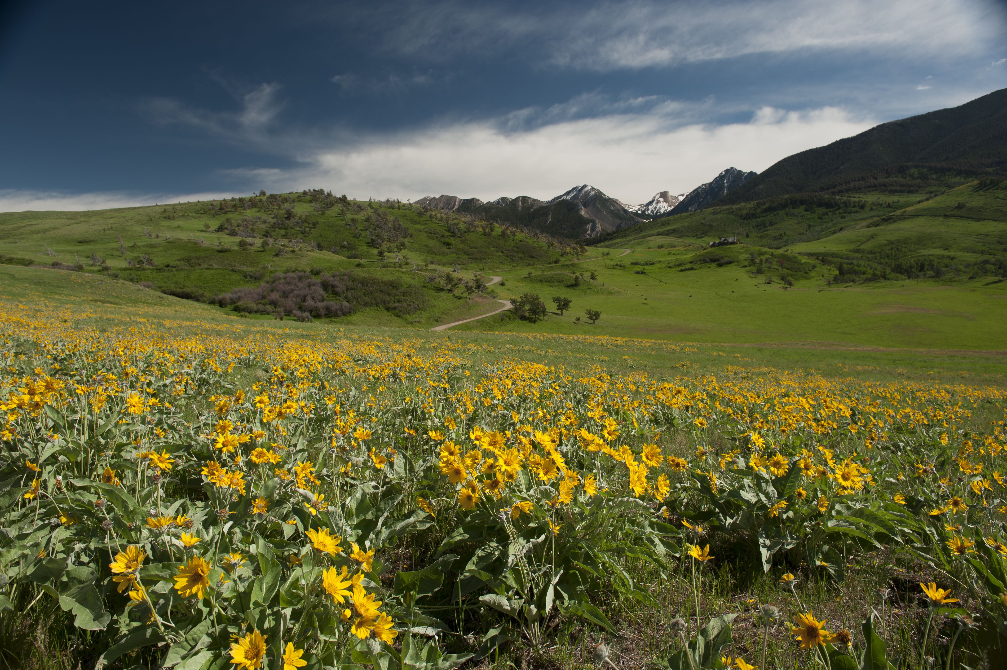 Montana's Yellowstone Country